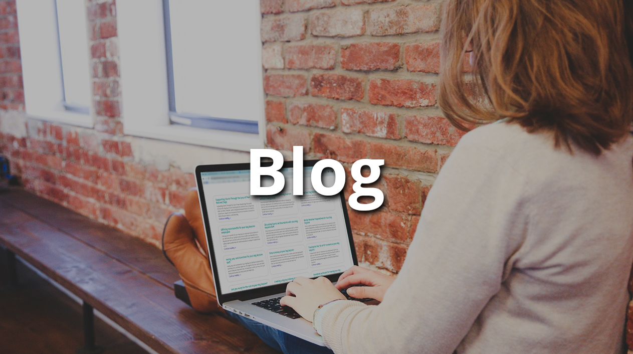 Dog Handler Academy - Training for Dog Daycare Employees