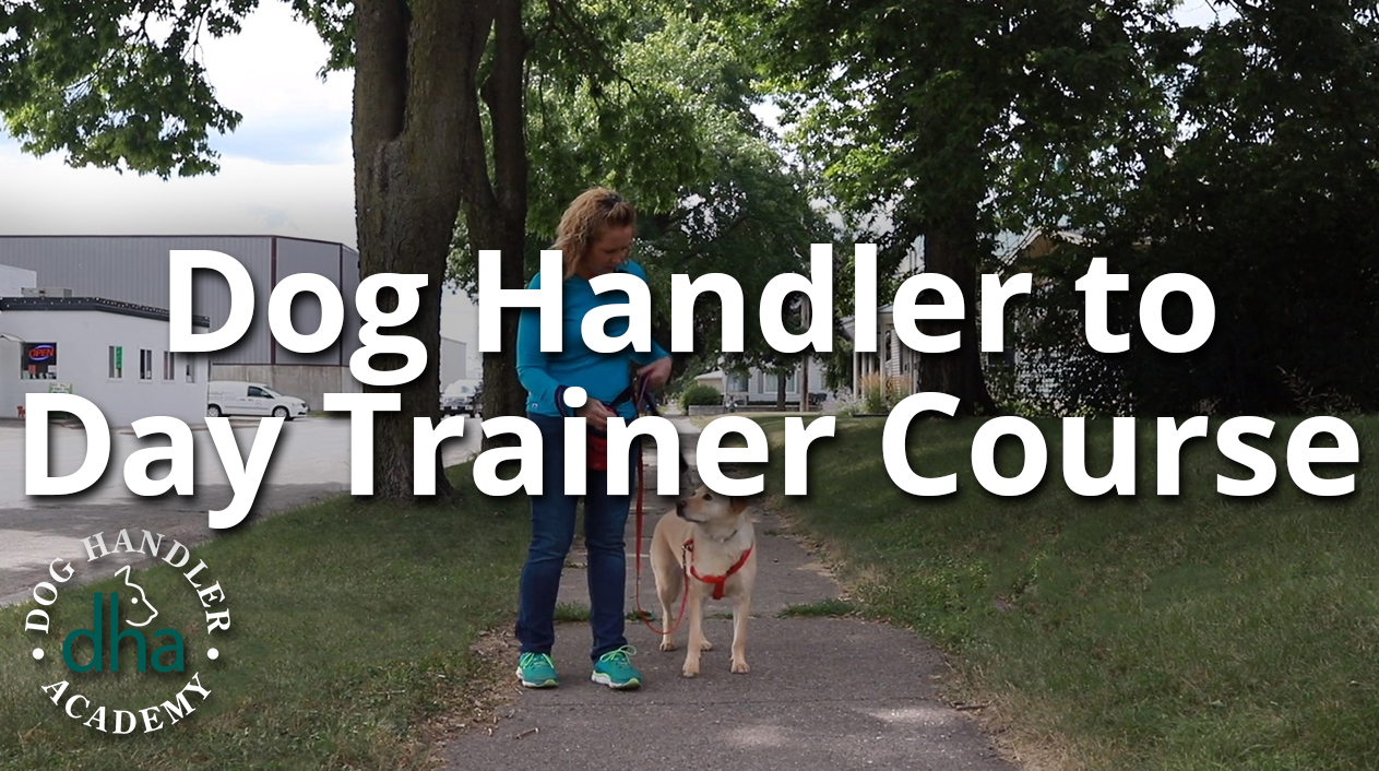 Dog Handler Academy - Training for Dog Daycare Employees