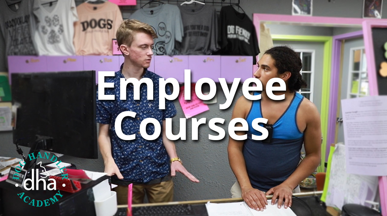 Dog Handler Academy - Training for Dog Daycare Employees