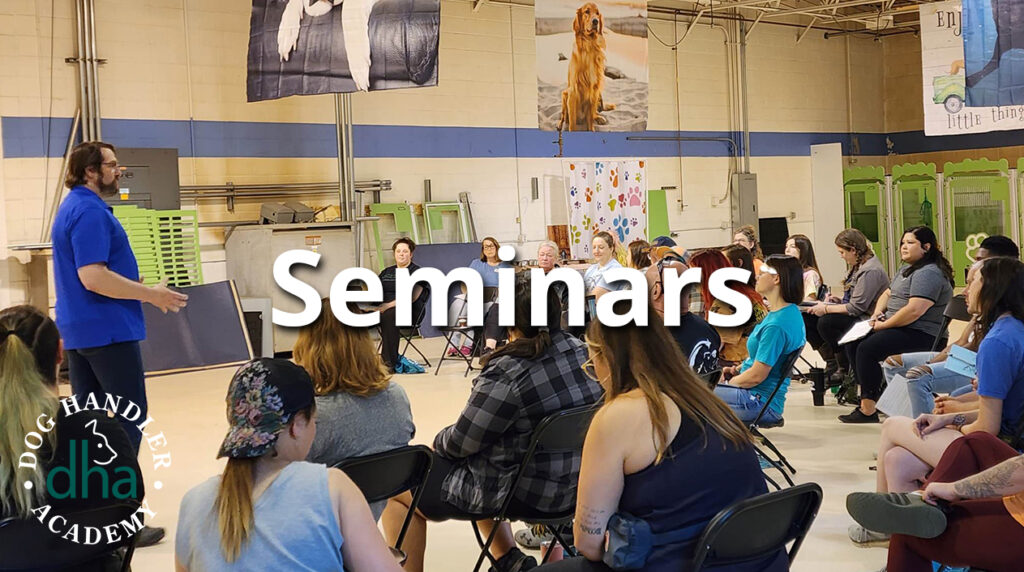 Dog Handler Academy - Training for Dog Daycare Employees