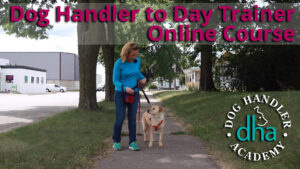 Standalone Courses - Dog Handler Academy