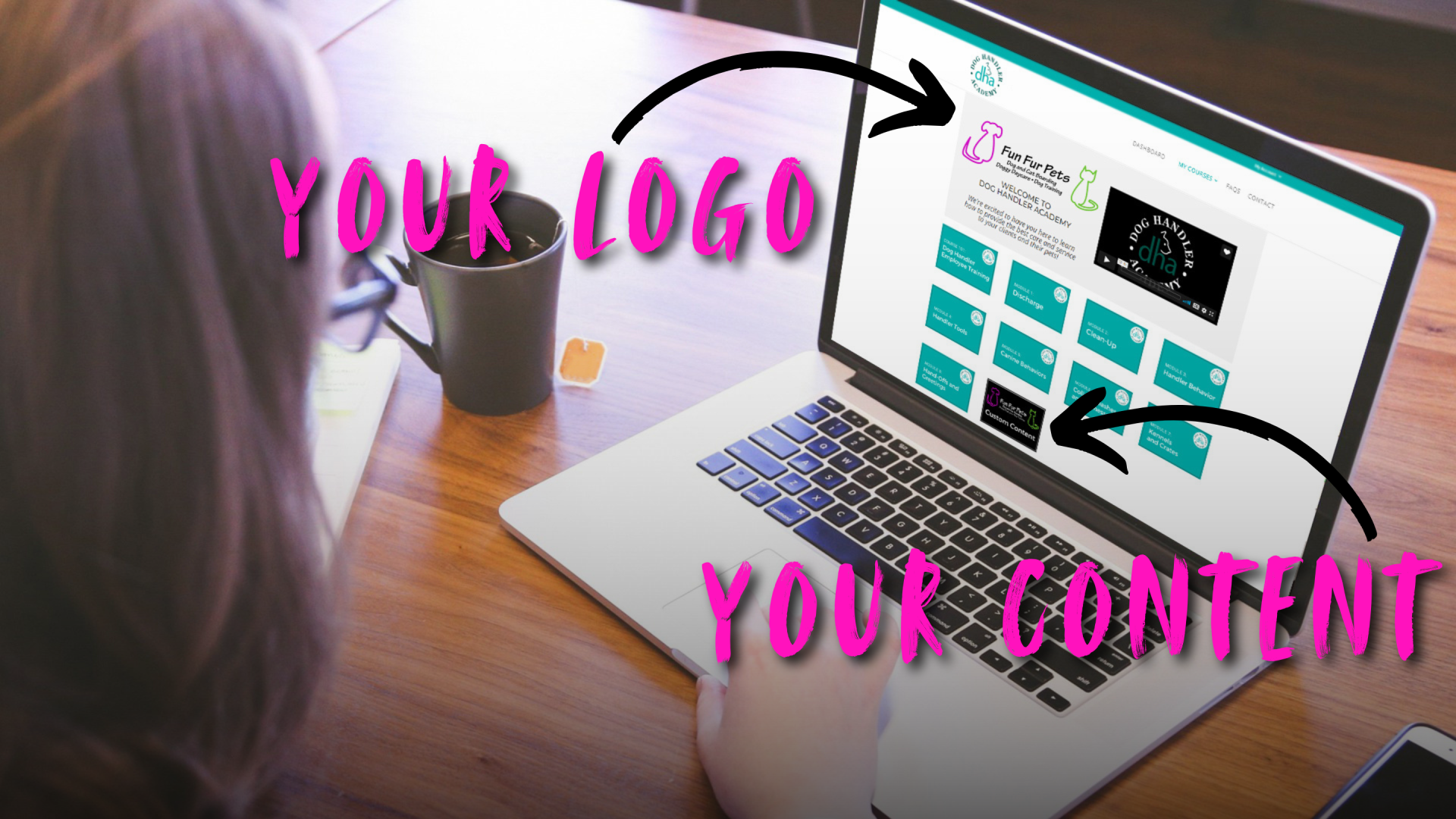 Training for dog daycare employees - Dog Handler Academy